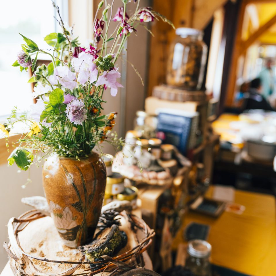 The community | Long Point First Nation