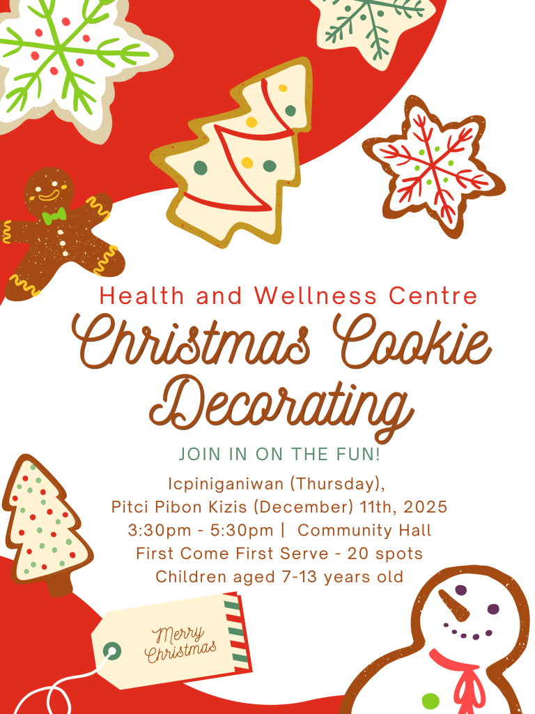 Décoration de Biscuits de Noël – 11 décembre 2025 | News | Long Point ...